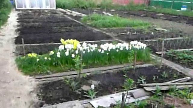 20 05 2016г после суровой зимы и заморозков весной