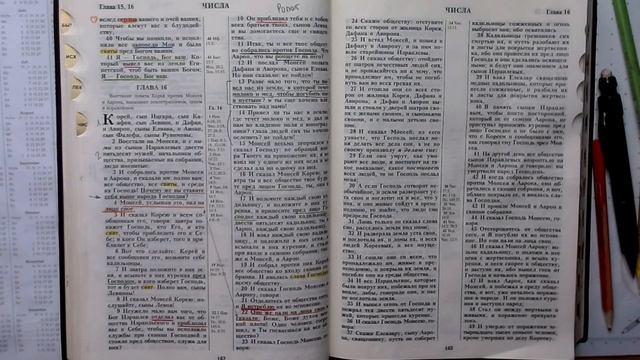 15. Числа 16 глава