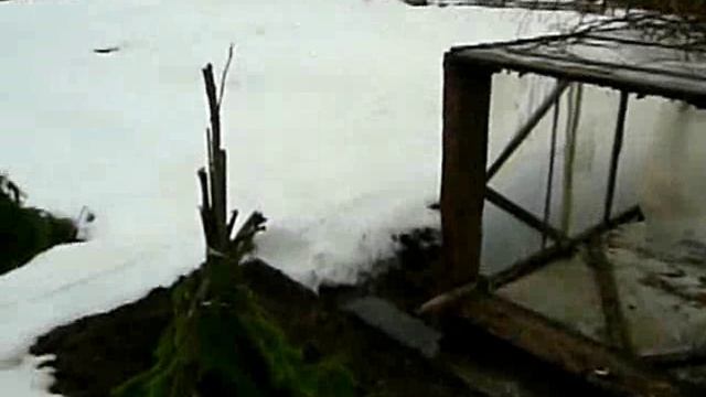 09 04 2016г обзор участка.