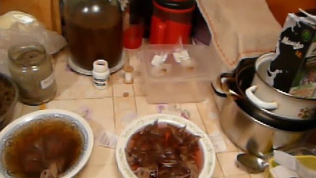 стратификация абрикоса и персика 09 02 2017г.