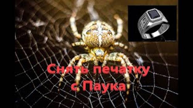 ОП 2.1 "ПЕЧАТКА ПАУКА" на Радаре.