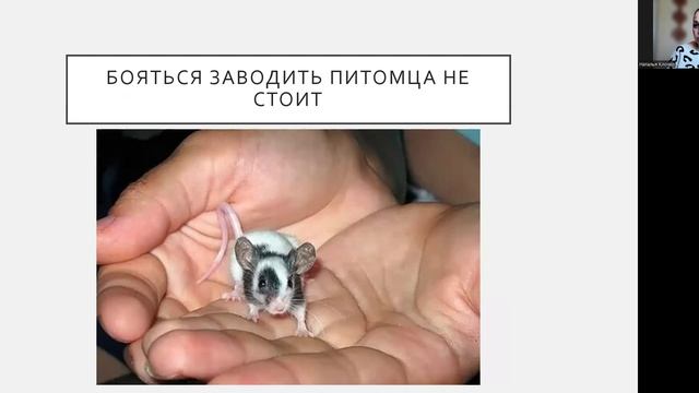 "Зачем ребёнку домашнее животное?"