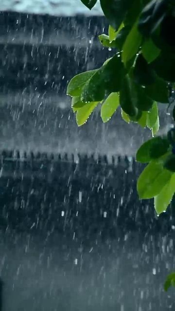 Почувствуй этот миг