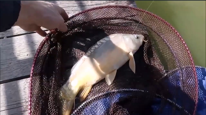 Узунджа рыбалка. Гостевой дом Узунджа Крым. Фидер. Рыбалка.