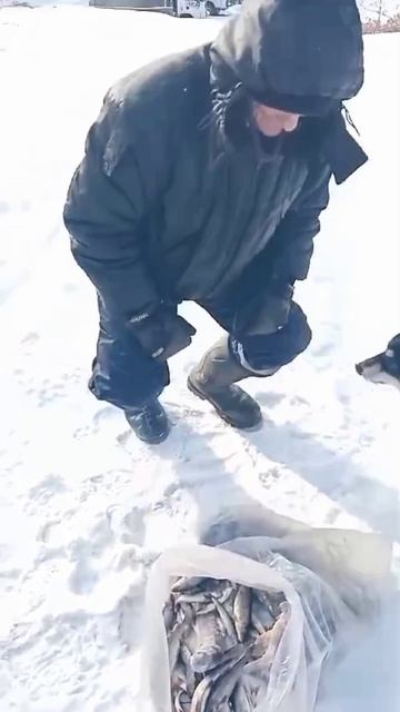 Зимняя Рыбалка! Ленки! Хариуса!