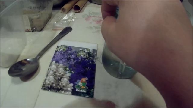 13 03 2017г  дельфиниумы ч 1 посев семян.