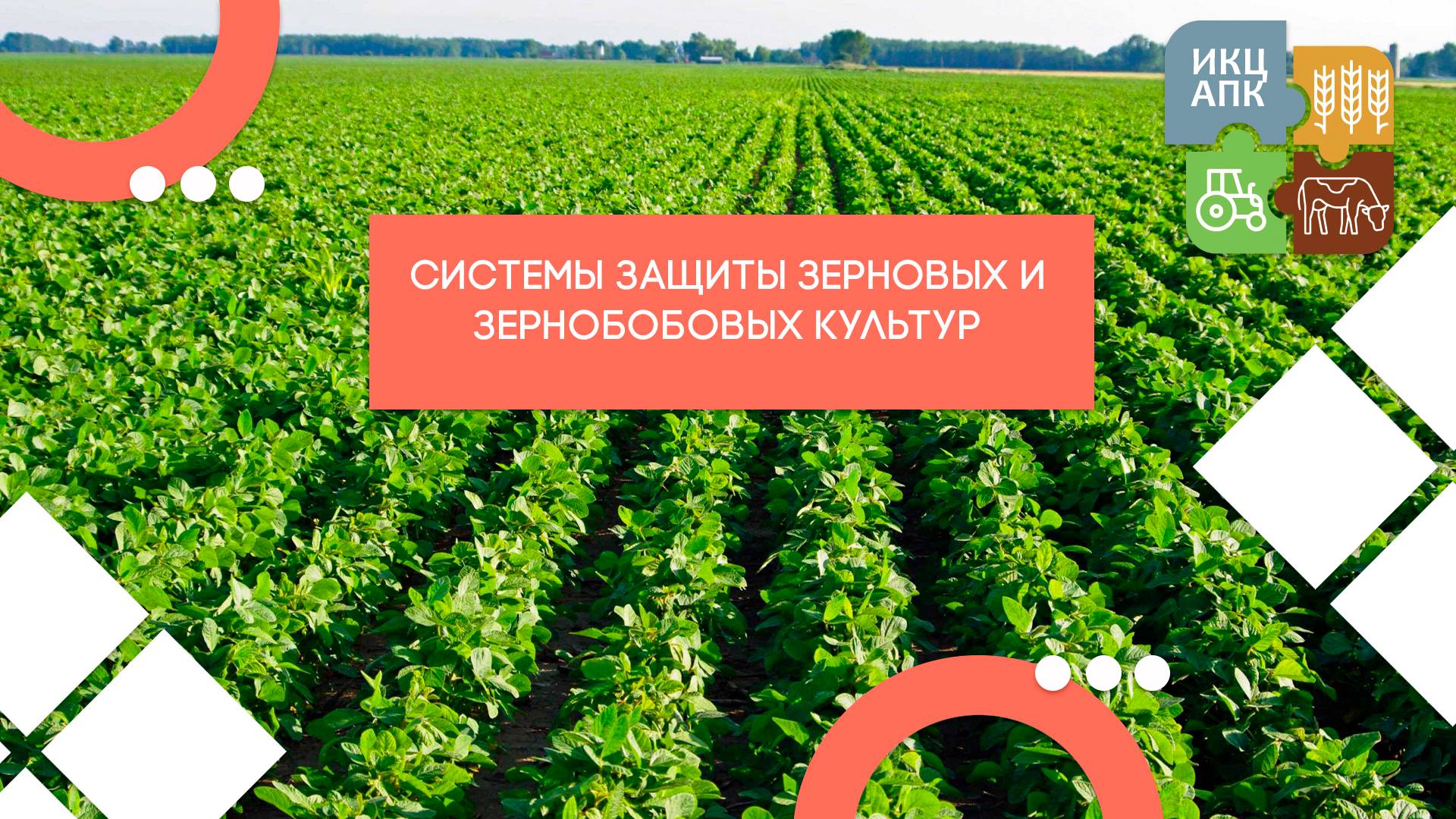 Запись семинара от 6 февраля 2025 года