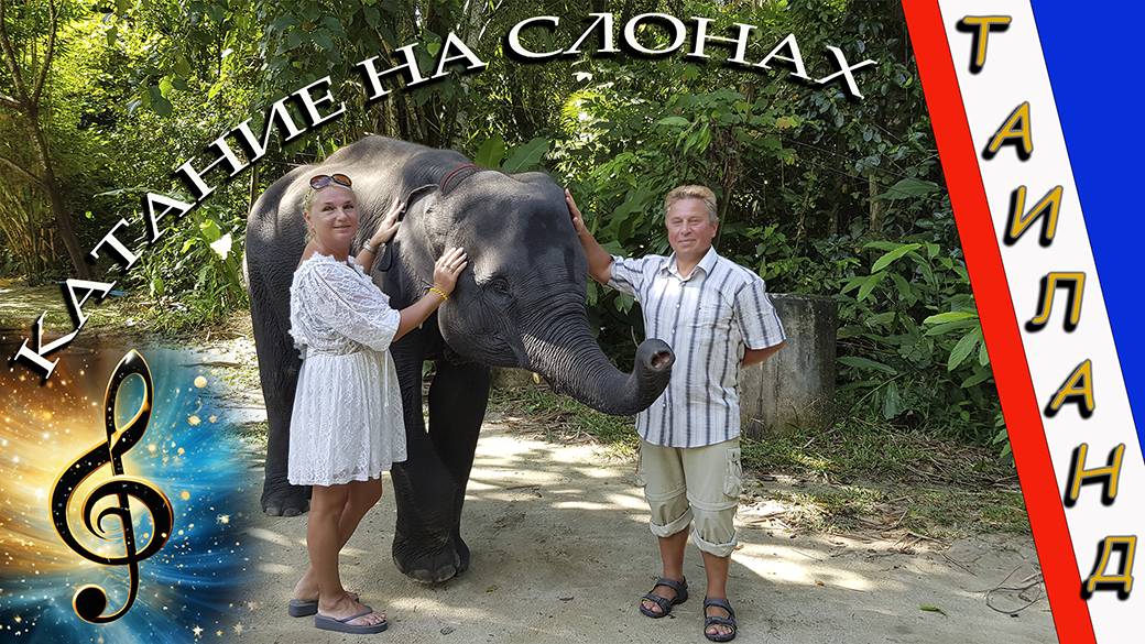 Таиланд, Пукет. Слоны и слонёнок