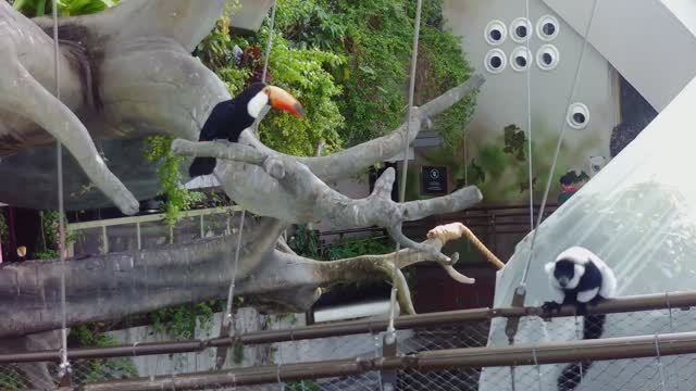ОАЭ, Дубай, The Green Planet Dubai, Зелёная планета
