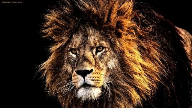 ADHD Music to Improve Focus and Concentration ｜ Study Music ｜ Focus Music