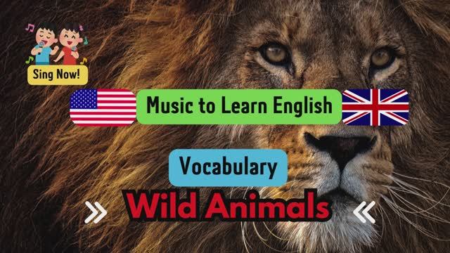 Learn English with this fun song!