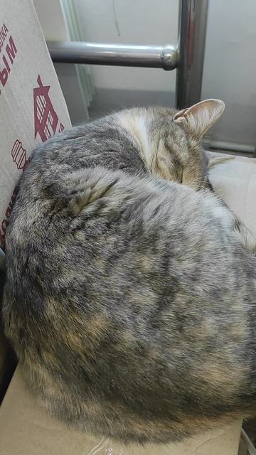 Оригинальные товары в Магните