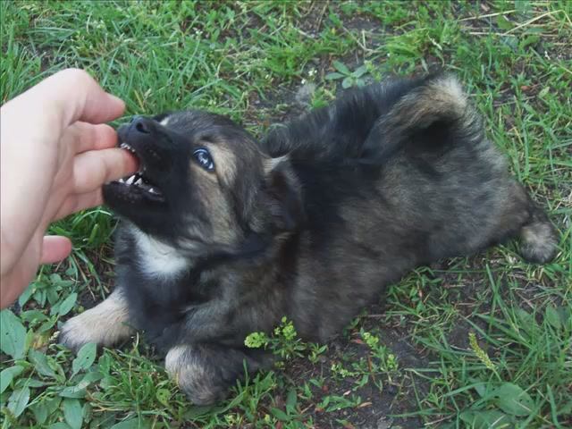 Как КРАСИВО -деревня, ЦВЕТЫ, ПРИРОДА - класс!