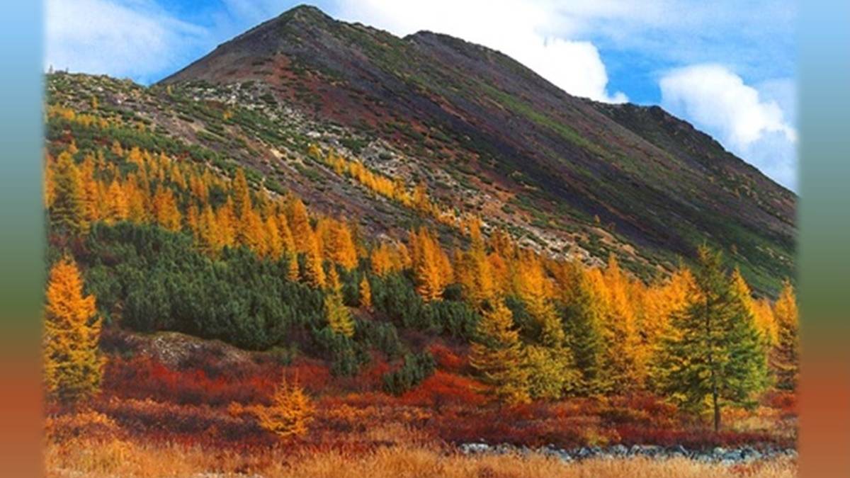 ОСЕНЬ. Отполыхало (*)... (муз. Нежность, плейлист «Осень. Просто осень. Гитара Francis Goya»)