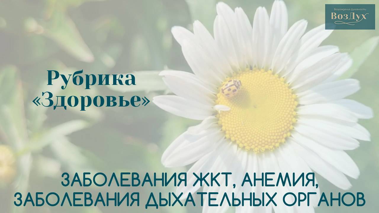 Заболевания ЖКТ | Анемия | Самочувствие | Листья подорожника | Татьяна Бекаревич
