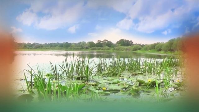 Куда уходит лето!