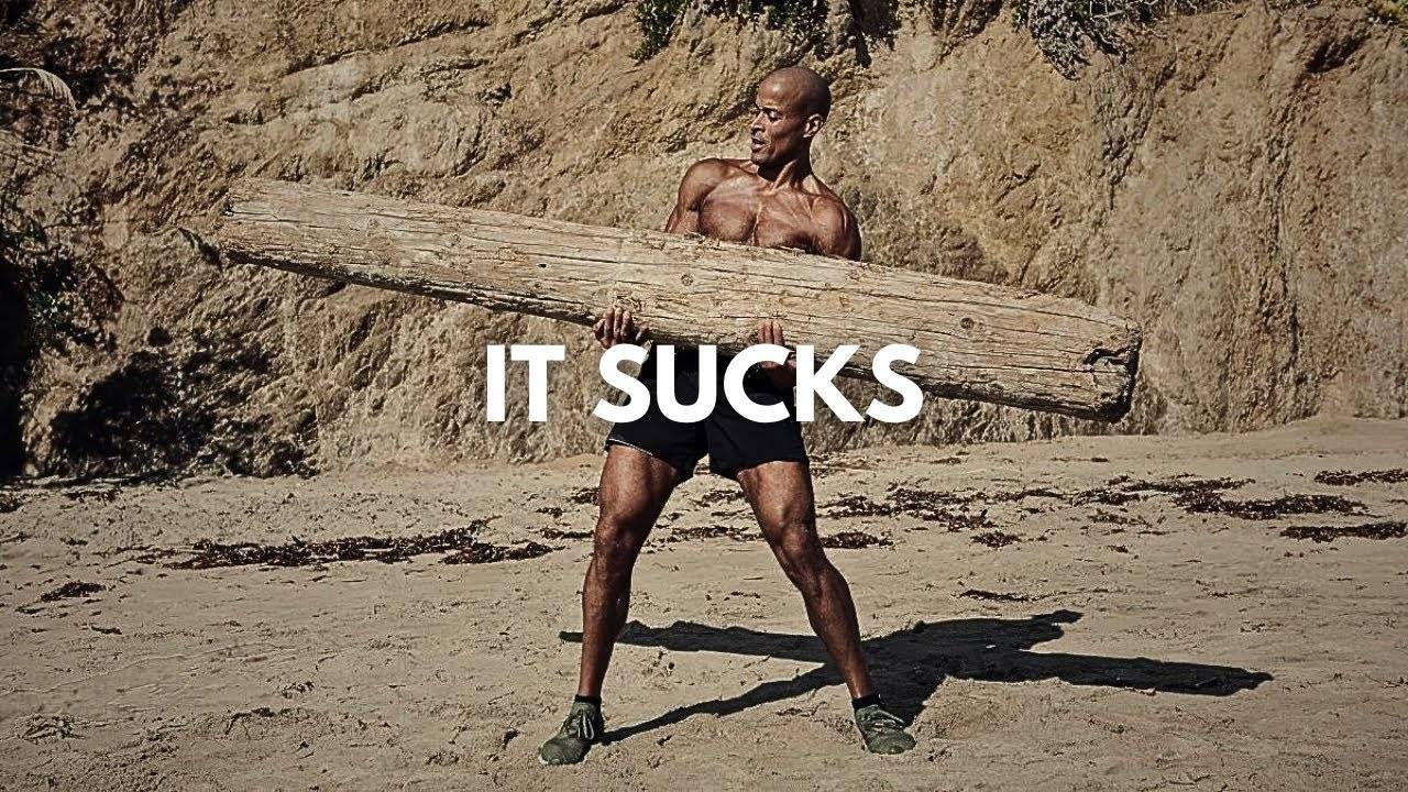 𝐈𝐓 𝐒𝐔𝐂𝐊𝐒 | 𝐃𝐀𝐕𝐈𝐃 𝐆𝐎𝐆𝐆𝐈𝐍𝐒