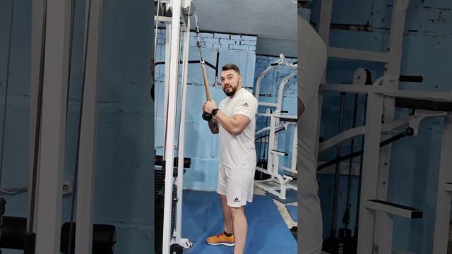 Разгибания рук на блоке канатами