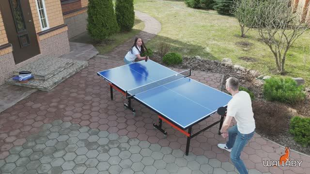 Теннисный стол Wallaby Outdoor S400 Blue