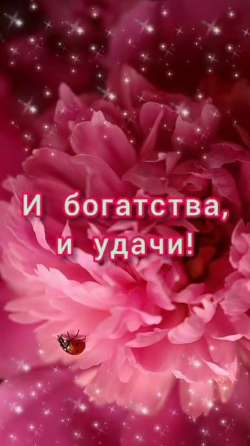 С Днём Рождения, дорогая!