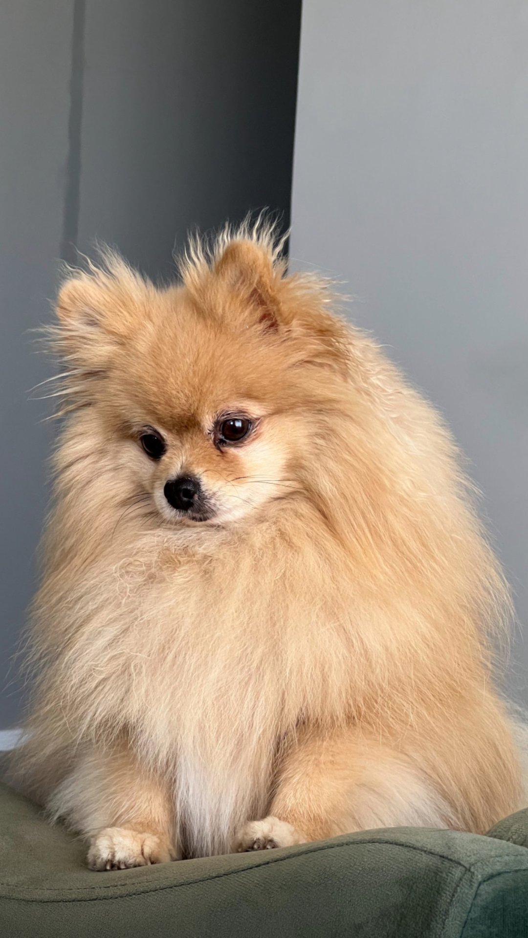 Басе удалось разбудить папу!!!