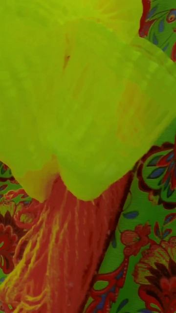 Масленица с артистами Нефтекамской государственной филармонии.