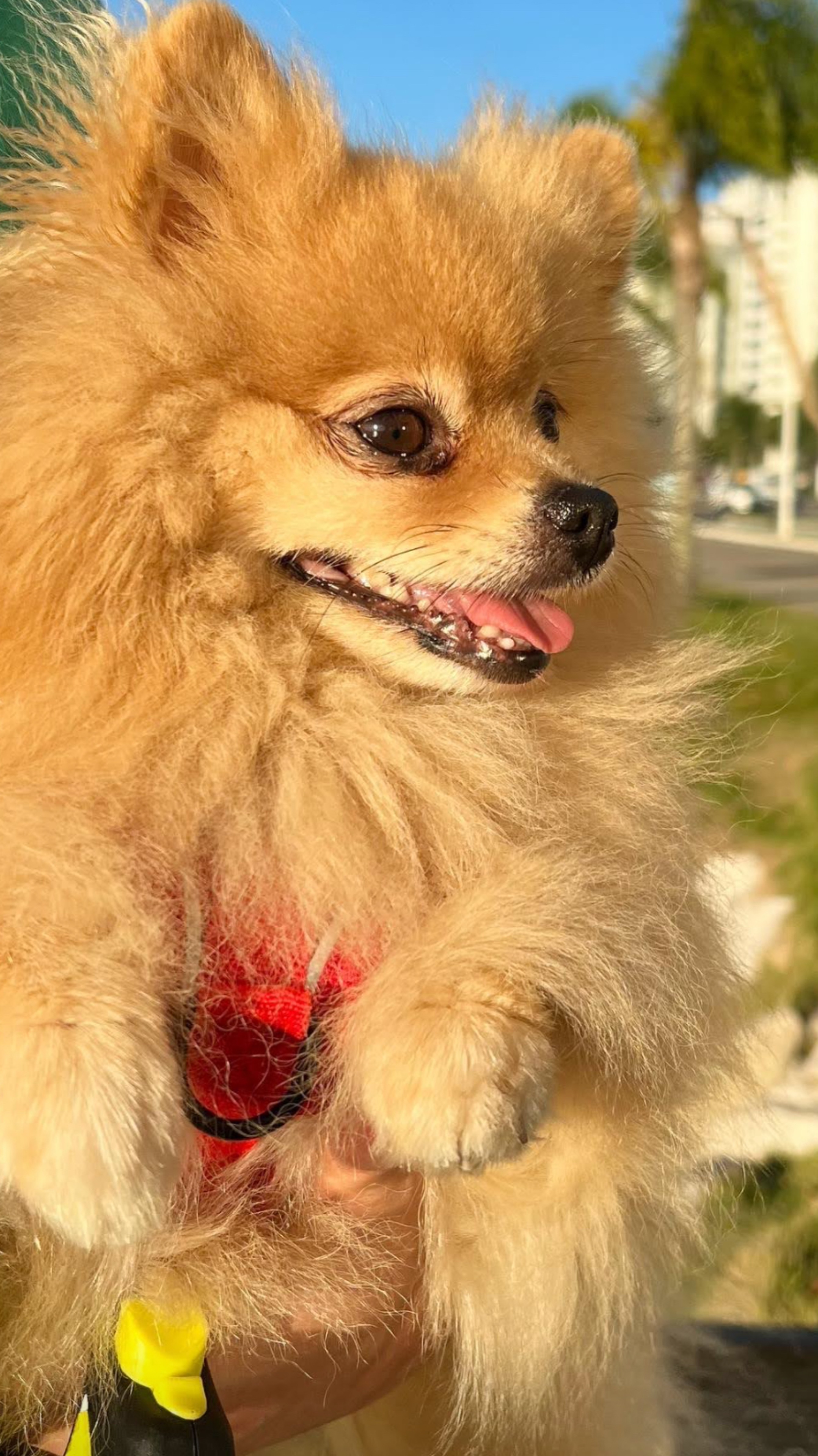 Угадайте, куда так завороженно смотрит Бася?