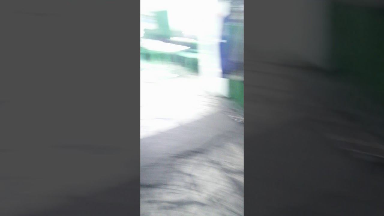 Тяжёлый понедельник, муравей на страже порядка.