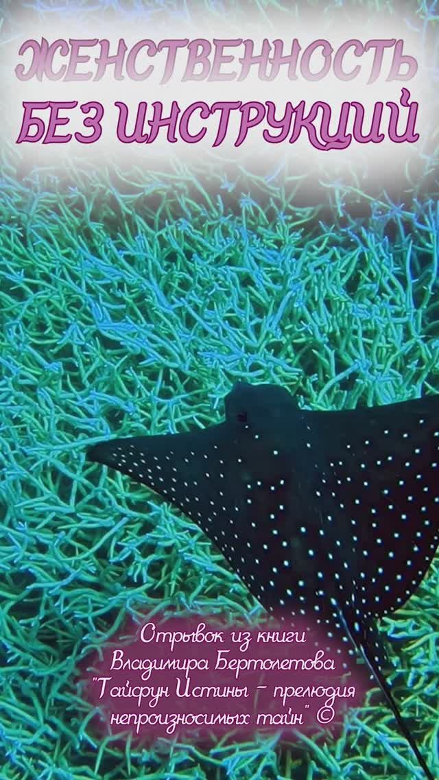 Женственность без инструкций