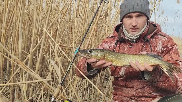 ЩУКА ЗИМОЙ!! ВОТ ГДЕ СТОИТ!! УГОВОРИЛ НА ПОКЛЕВКУ💪