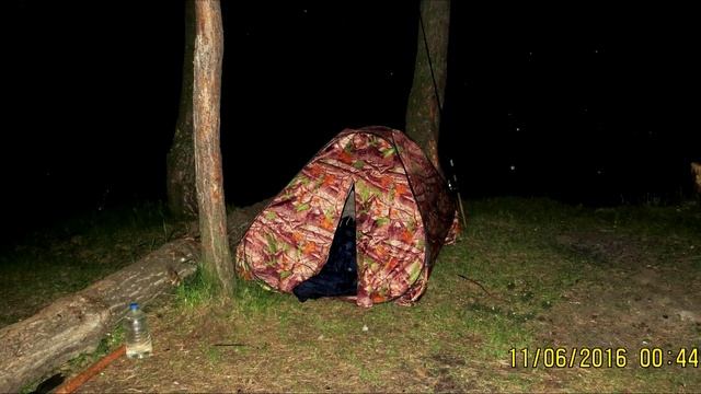 КОНОНОВА 2016