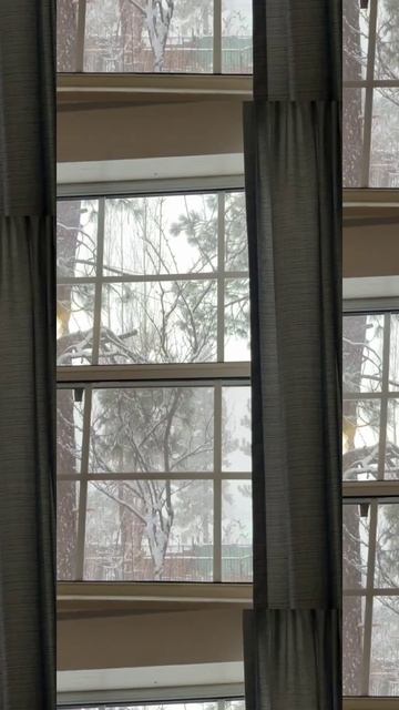 #калифорния #снег #зима #сша  #сказка  #апокалипсис