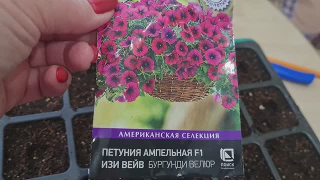 Посев перца сладкого, Петунии, Вербены 10 февраля,  самым простым способом!🌸