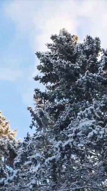 АКЦИЯ «ЗИМНЯЯ СКАЗКА - РУЧНАЯ ПЛАСТИКА - ВСЁ ПО 30!»