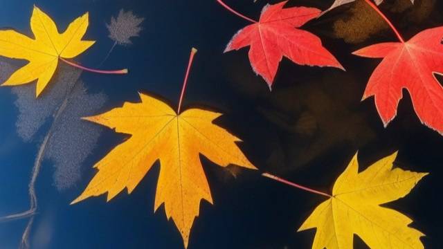 Виртуальная экскурсия для участников проекта "Заботливая связь".