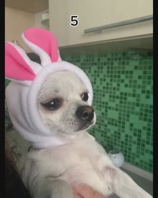 Милашки с Маркетплейса 5