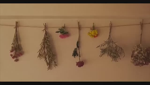 Choki 11 Habits That Make Me Happy