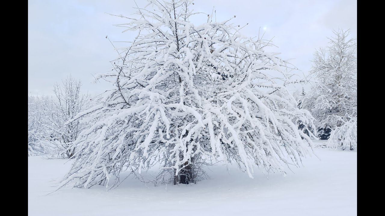 ЗАКАТЫ И РАССВЕТЫ: ВОСХОД СОЛНЦА. С НОВЫМ 2025 ГОДОМ! ФАКЕЛ ГЕКАТЫ ЛОЛИТА