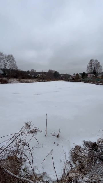 Зима не такая, как нам хотелось...