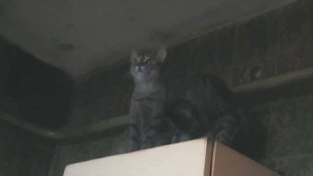 MelomanicaTV представляет: Анастасия Коршунова в фильме Сергея РАzoom Фокина "Люди не отсюда". 2012.