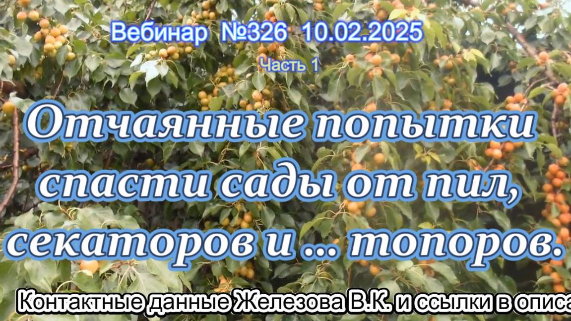 Железов Валерий. Вебинар 326. ч.1. Отчаянные попытки спасти сады от пил, секаторов и … топоров.