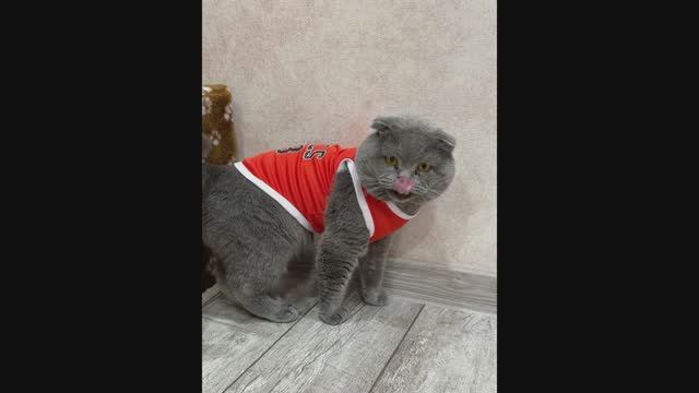 Милашки с Маркетплейса 8