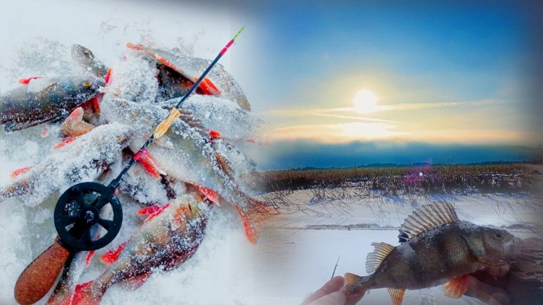 РЫБАЛКА НА СВИРИ В ФЕВРАЛЕ.