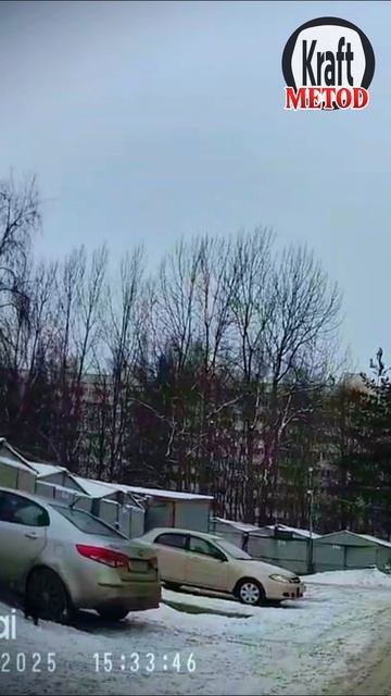 Черный кот к чему это? KRAFT METOD shorts