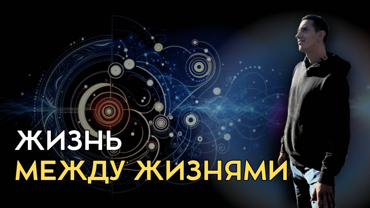 Жизнь между жизнями