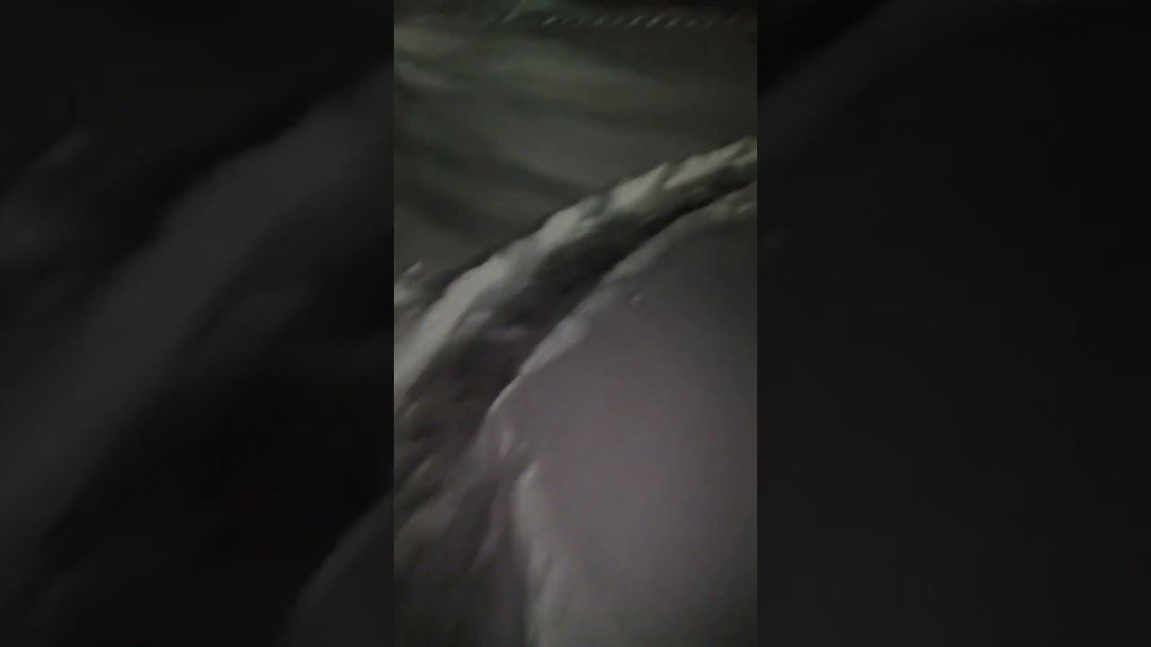 кто то довыеживался