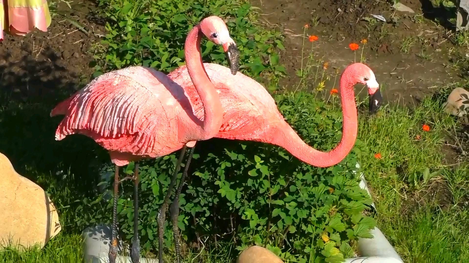 У художника на даче