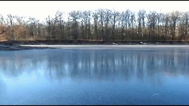 Лесной каток