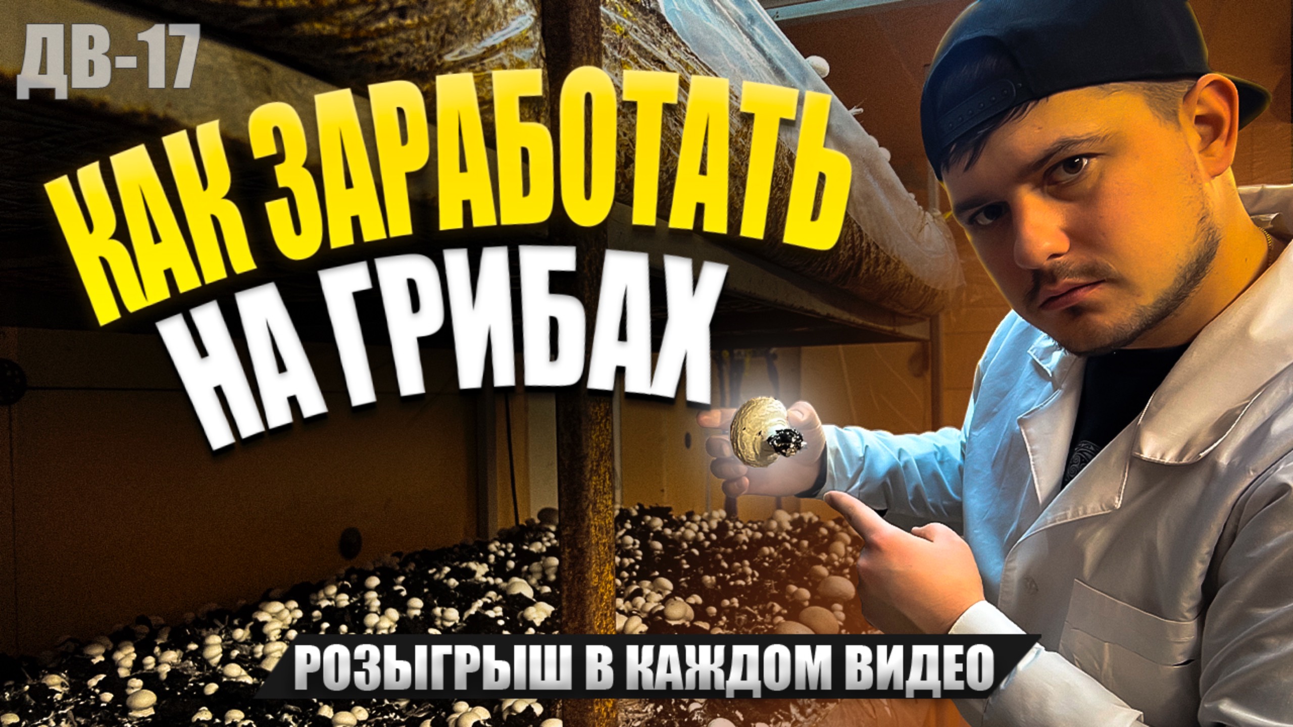 КАК ЗАРАБОТАТЬ НА ГРИБАХ В 2025 ГОДУ | ДВ 17