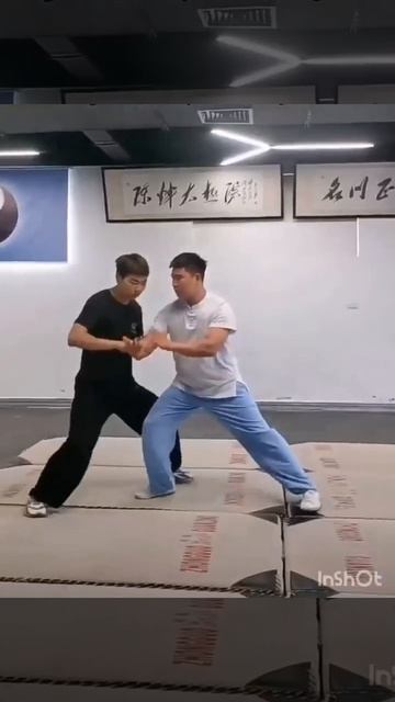 Коротко о туйшоу